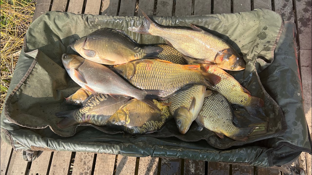 Crap la method. Balta Brabeți 23.03.2023 - YouTube