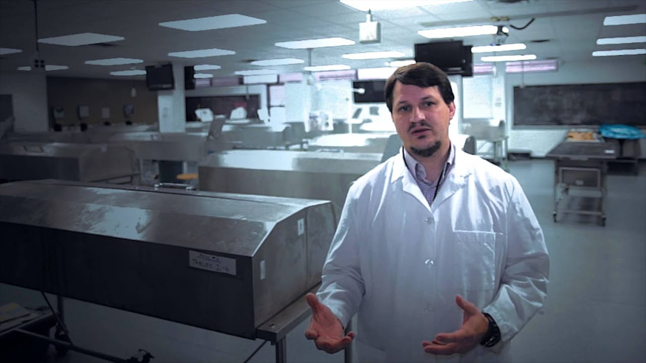 Anterolateral Ligament - Dr. Craig Goodmurphy of Eastern Virginia ...