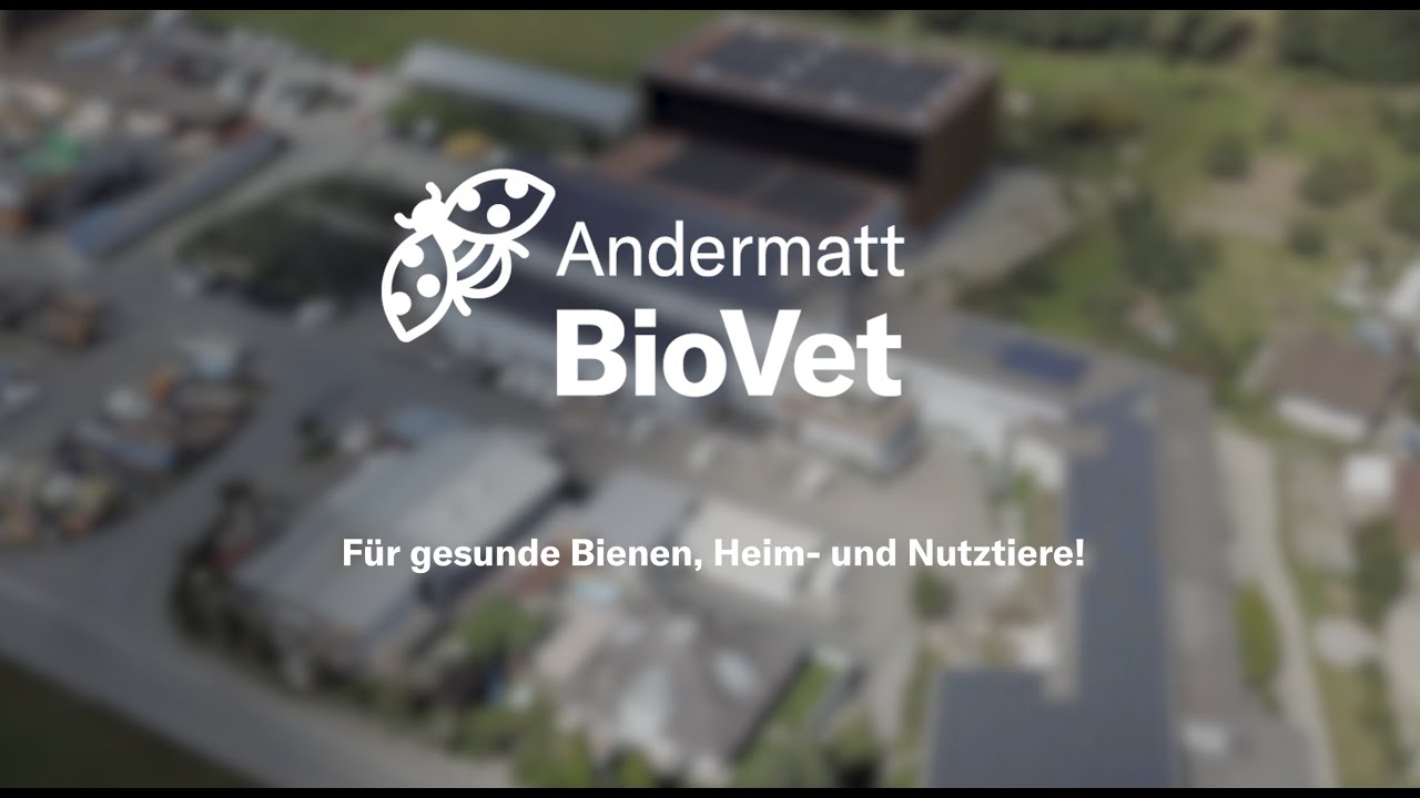 Imagevideo Andermatt BioVet - YouTube