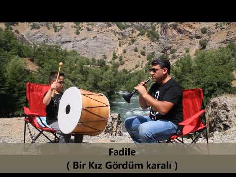 FADİLE #ŞANLIURFA @ALIBASIKTV #arifsağ #ertantekin #davul #shorts