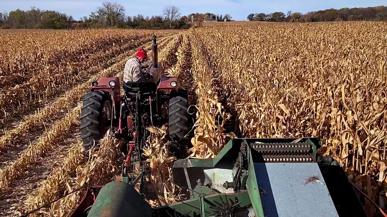 Picking Corn - One Crib-Full, Please - YouTube
