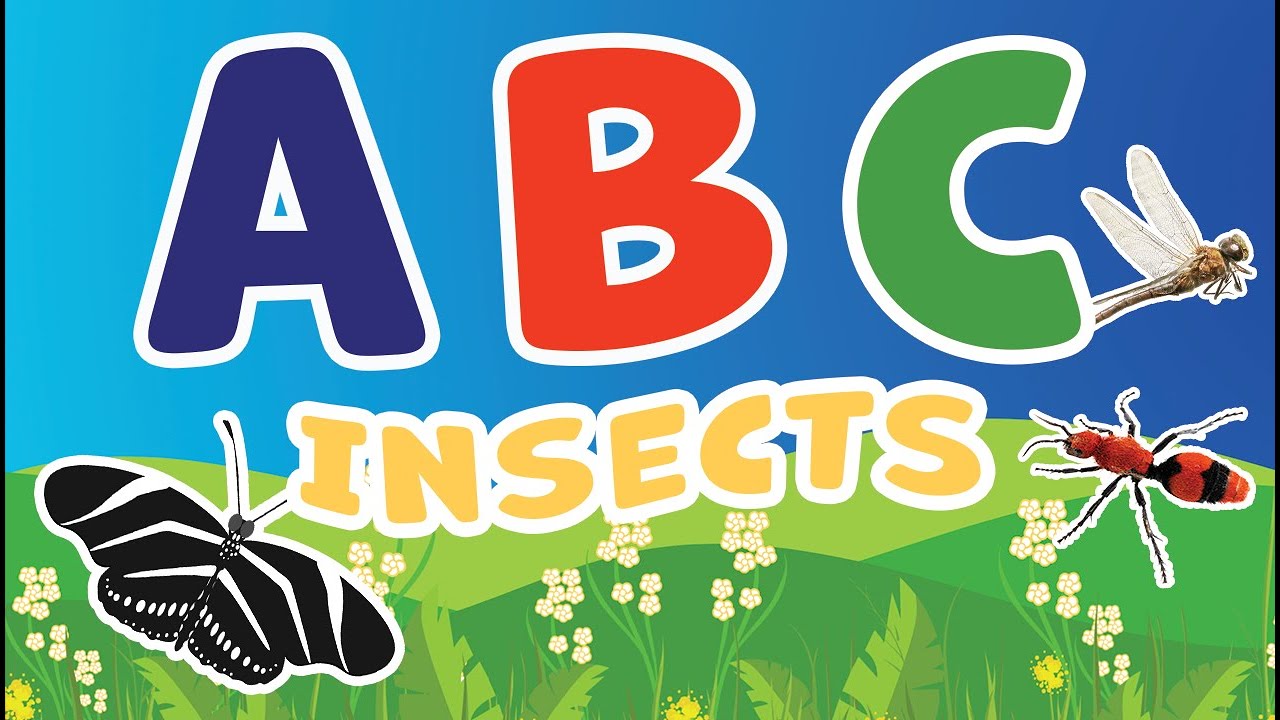 A-Z Alphabet with Insects for Preschoolers | Expand English Vocabulary ...