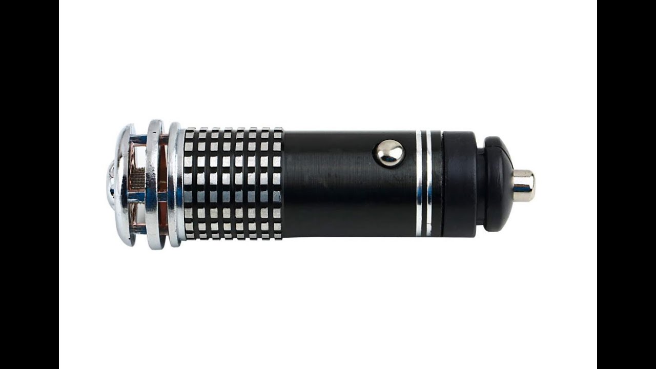 Auto Ionizer Ionic Air Purifier with Forest Shower Experience (Silver ...