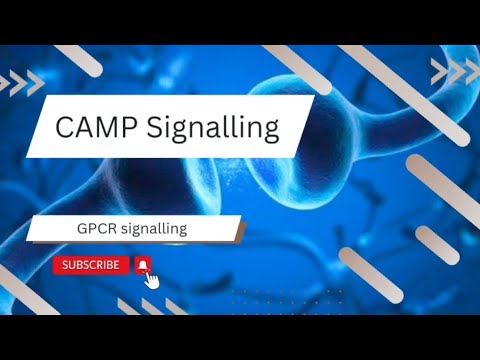CAMP signalling| GPCR signalling| Cell signalling - YouTube
