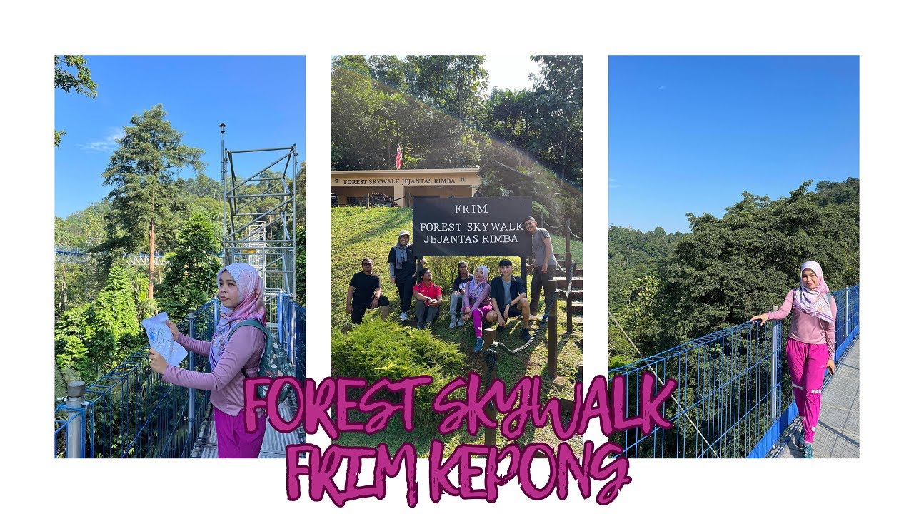 Forest Skywalk Frim Kepong | Jejantas Rimba - YouTube