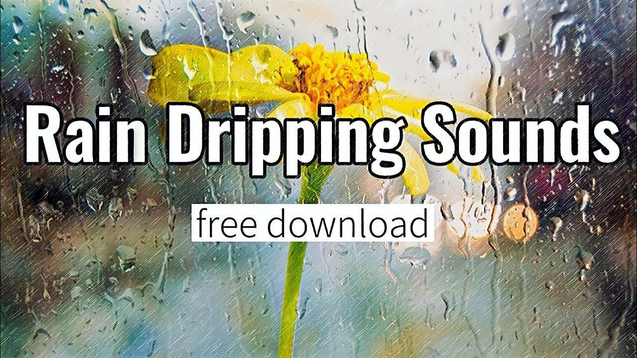 Sound Effects - Rain Dripping - YouTube