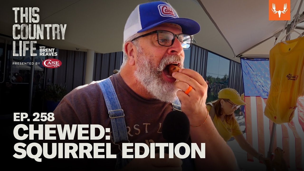 Live From The 2024 World Championship Squirrel Cook Off | This Country ...
