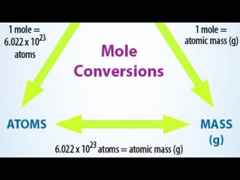 Mole Concept Part 1 Ek Dum Basic - YouTube