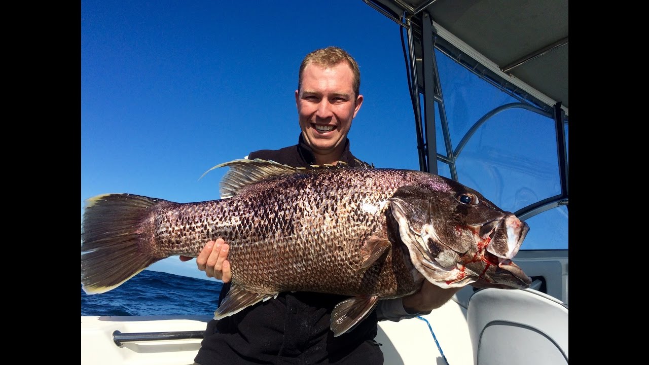 Western Australian DhuFish Compilation - YouTube