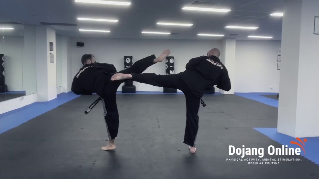 Spinning Kick - Target Practise - YouTube