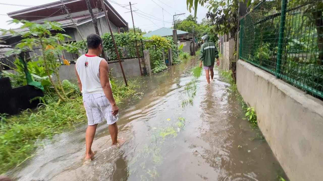 SOBRANG DAMING ISDANG NAHULI SA BAHA!!! DAHIL SA BAGYO!!! Buhay ...