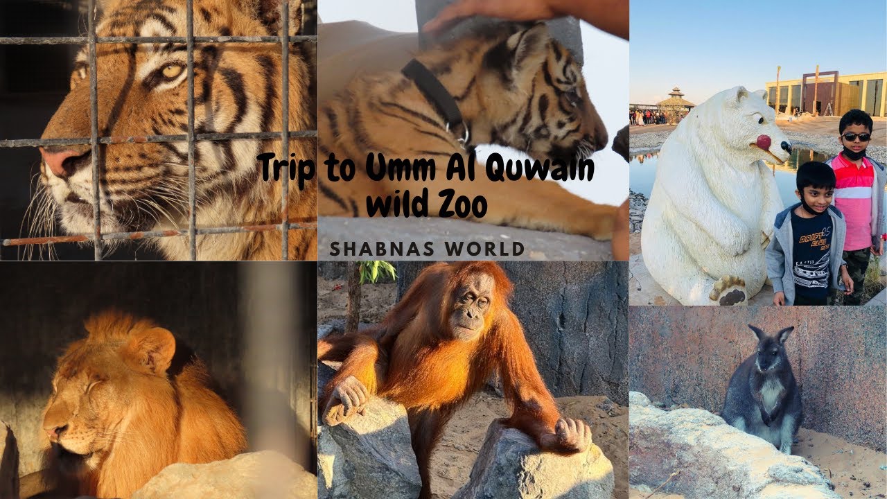 Travel Vlog #06-Umm al Quwain Zoo/Wild Life Park/ UAE/ Must Visit Zoo ...