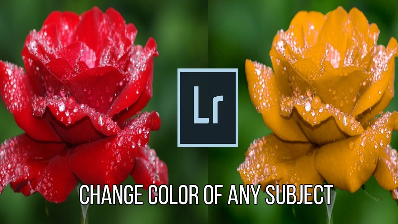How To Select And Change Specific Color In Lightroom COOL ADJUSTMENT BRUSH TRICK TUTORIAL how-to-select-and-change-specific-color-in-lightroom-cool-adjustment-brush-trick-tutorial