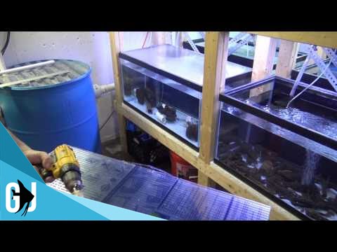 #389: How to: Twin-wall Polycarbonate Aquarium Lid - DIY Wednesday ...