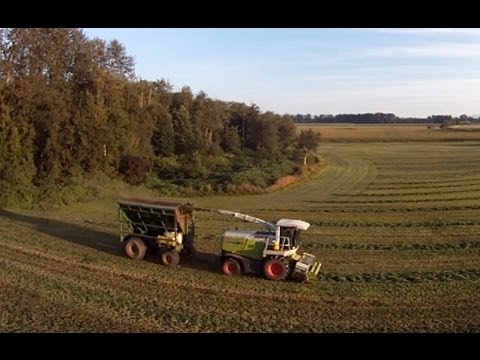 Claas chopper picking up grass - YouTube