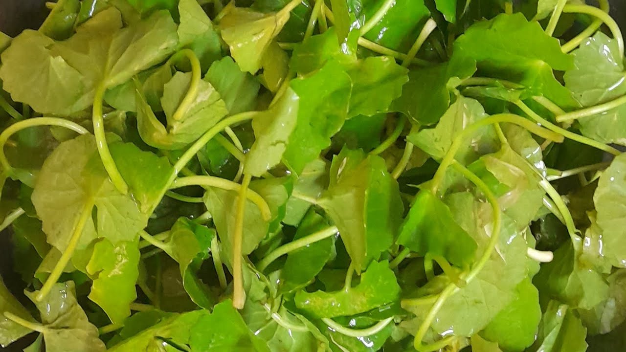 Brahmi Leaves chutney | ಬ್ರಾಹ್ಮಿ ಅಥವಾ ಒಂದೆಲಗ chutney | Timare chutney ...