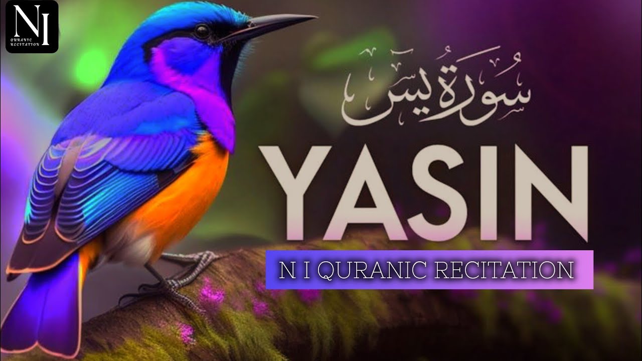Yasin Sharif | N I QURANIC RECITATION BY YASEEN SHARIF ️ - YouTube
