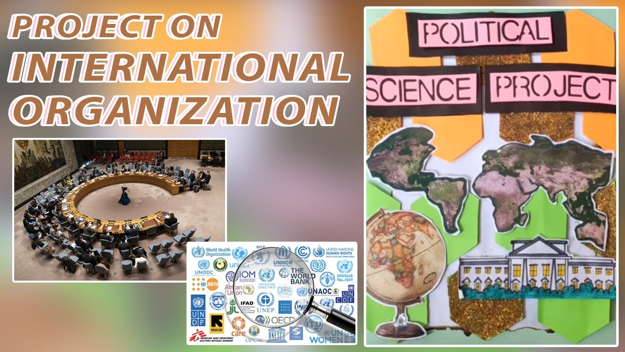CLASS 9/10/11/12 I PROJECT ON INTERNATIONAL ORGANIZATION I MAYANK ...