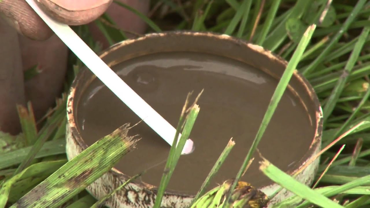 Soil Phosphorus Test - YouTube