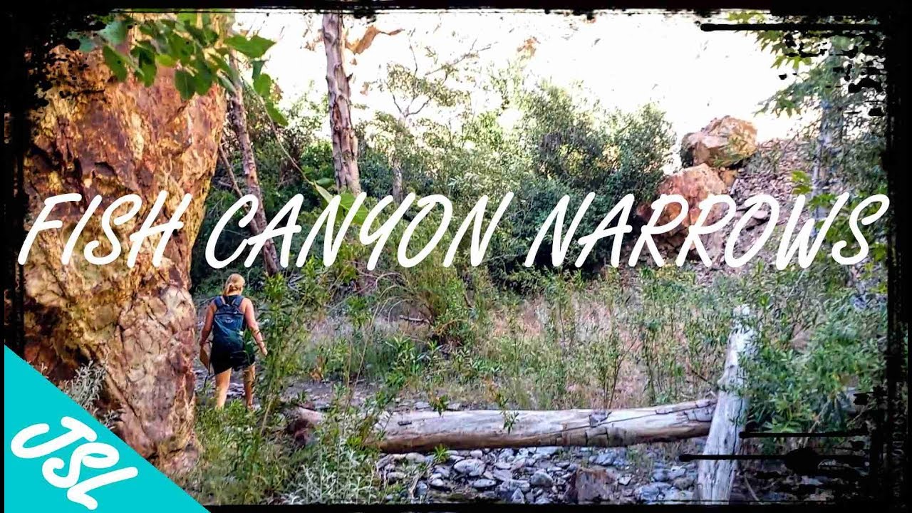 Fish Canyon Narrows - YouTube