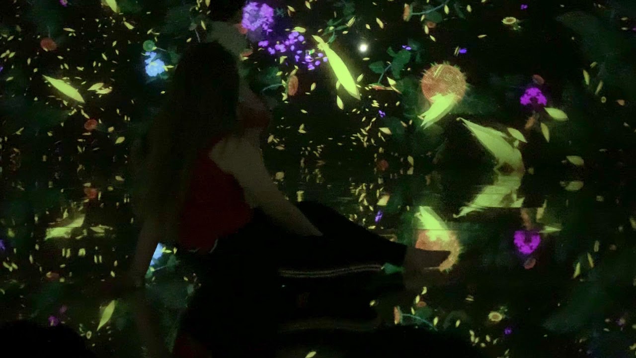 Tokyo TeamLab Flower Dome - YouTube