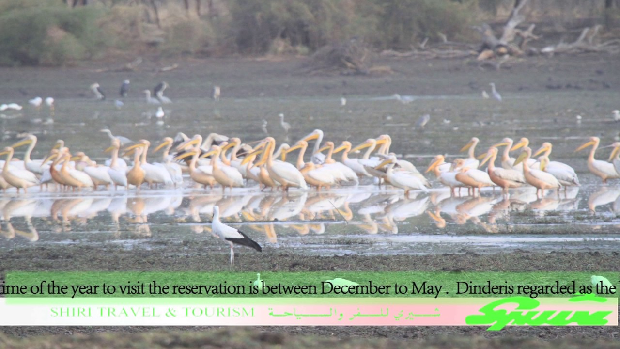 AL Dinder National Park - YouTube