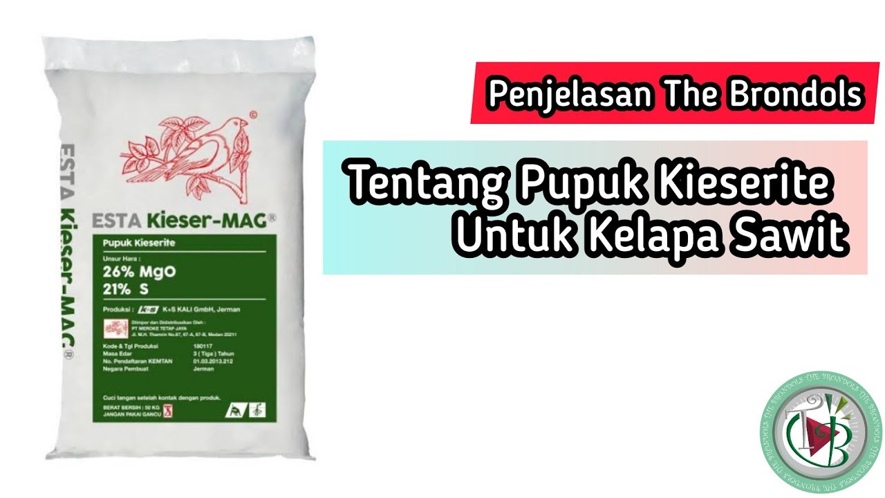 Penjelasan The Brondols: Tentang Pupuk Kieserite Untuk Kelapa Sawit ...