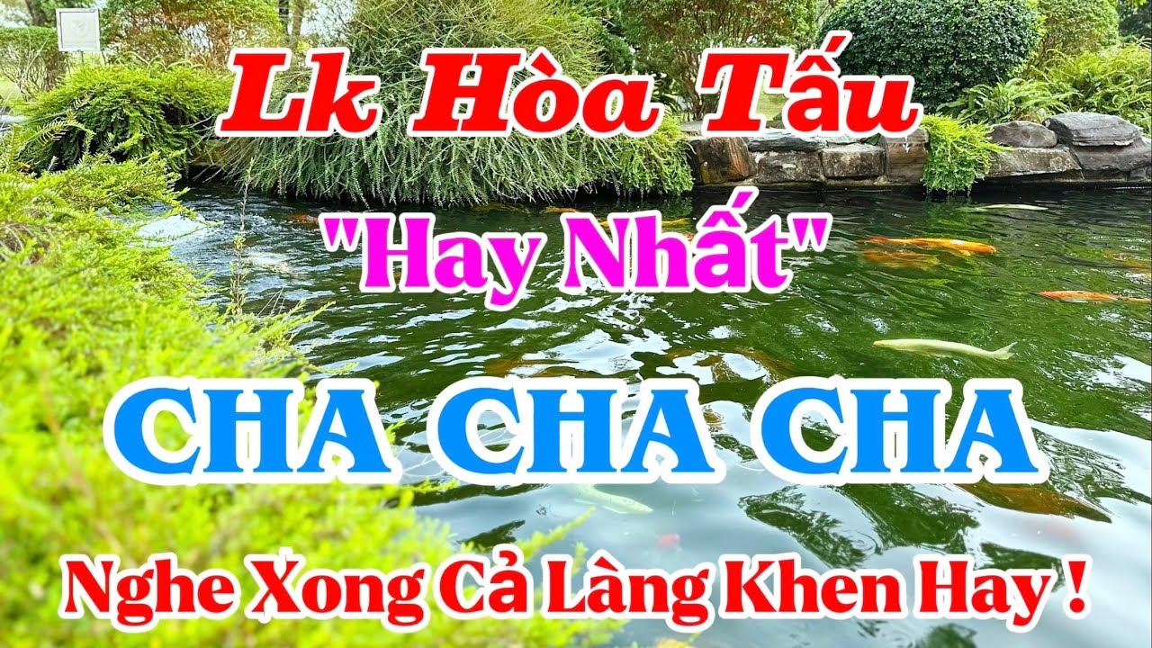 Liên Khúc CHA CHA CHA Hay Nhất Hiện Nay | Lk Hòa Tấu Cha Cha Mới Nhất ...