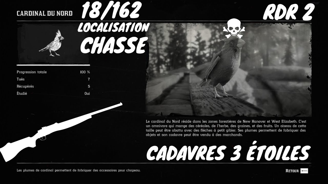 Tout Les Animaux: 18/162 Le Cardinal du nord (Localisation) Red Dead ...