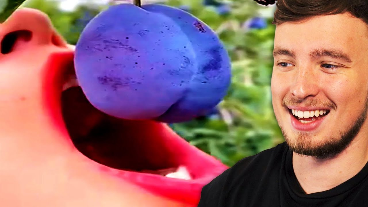 INSANE Try Not To Laugh Challenge with Whacky - YouTube