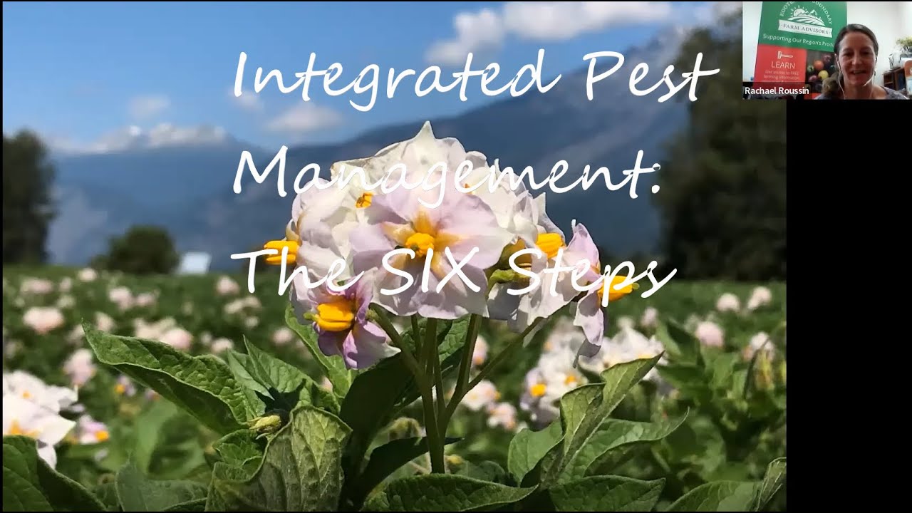 Integrated Pest Management: The SIX Steps - YouTube