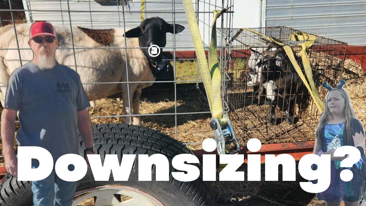 Are we downsizing? - YouTube