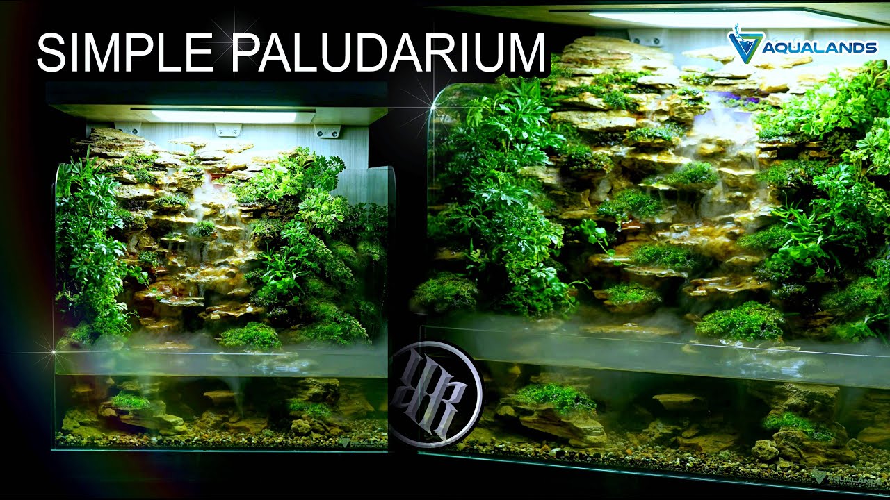 Mini Complete Paludarium with Waterfalls - YouTube