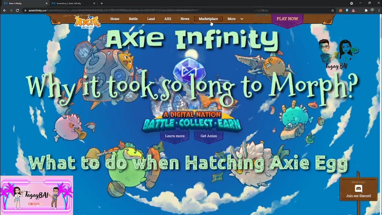 HATCHING AXIE EGGS | TOOK SO LONG MORPHING EGGS WHAT TO DO? AXIE ...
