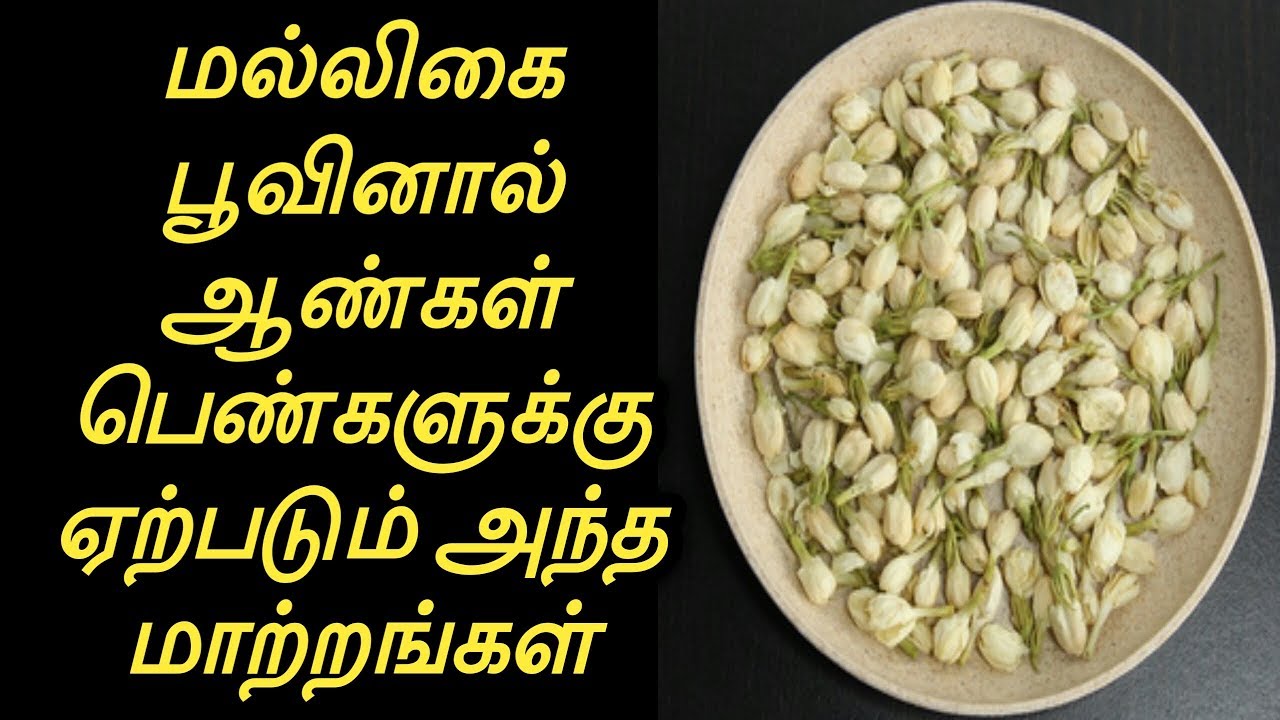 Malligai Poo Benefits in Tamil | Jasmine Flower Benefits in Tamil ...