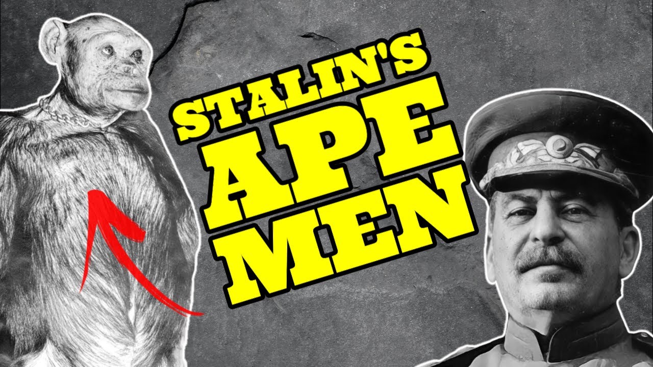 STALIN's experiment and his HUMAN-APE army - YouTube