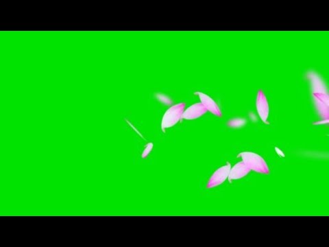 green screen lotus background video effects Foll HD - YouTube