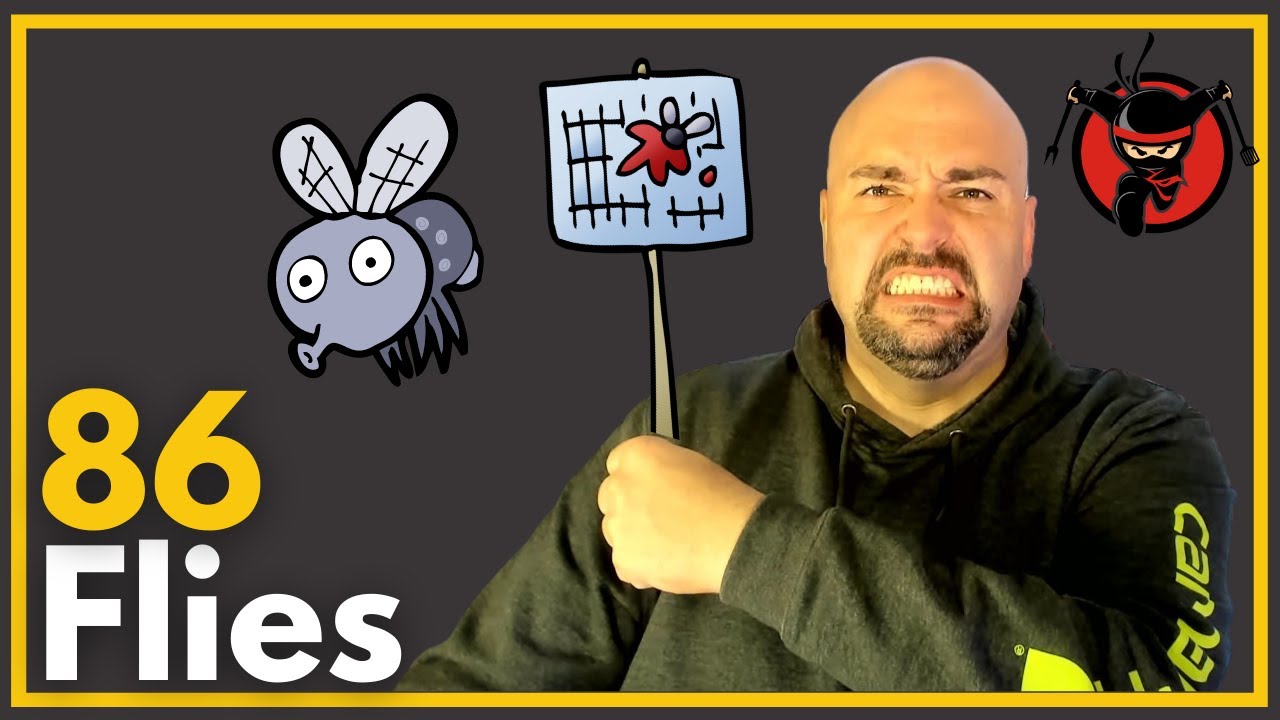 How to Get Rid of Flies in a Restaurant - YouTube