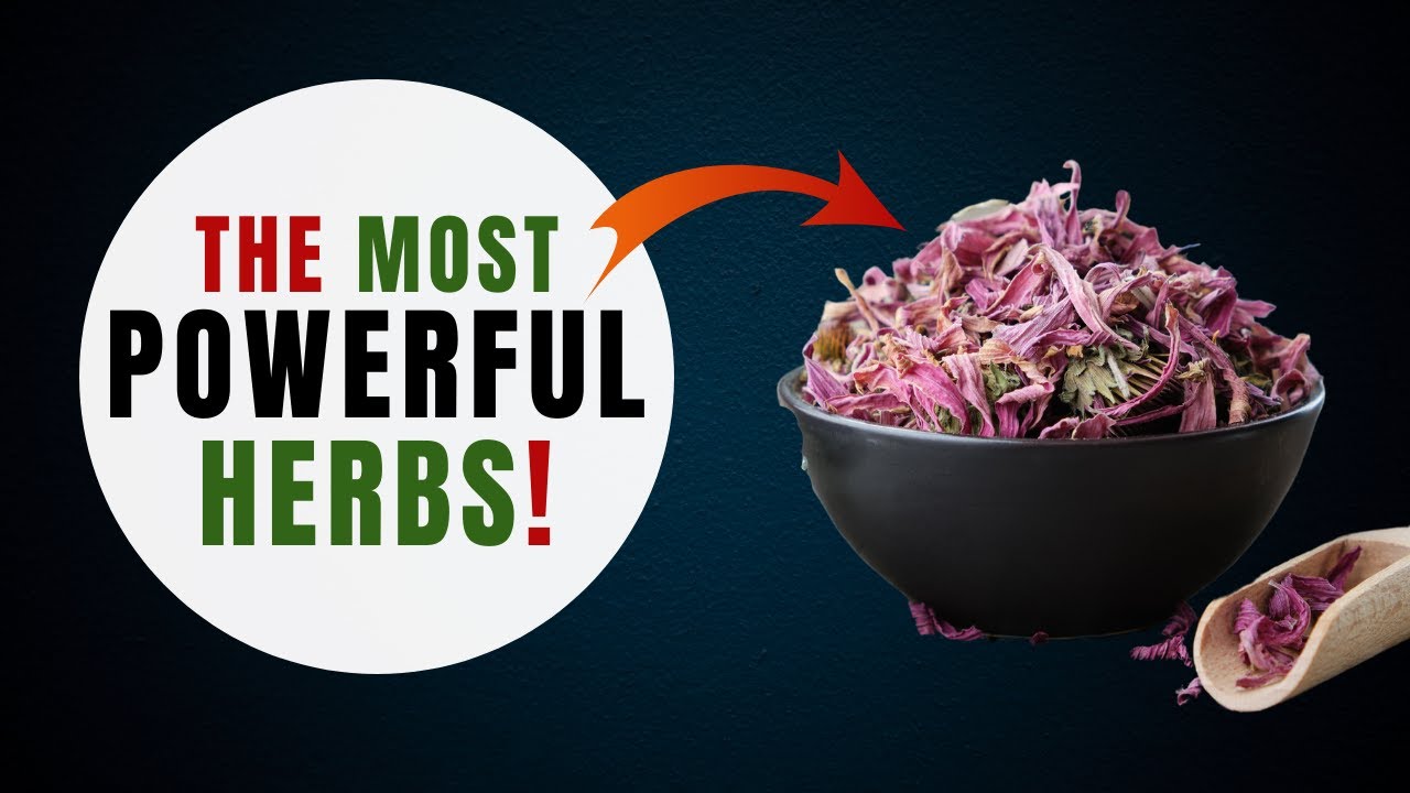10 Most POWERFUL Medicinal Herbs! (PROVEN by Science!) - YouTube