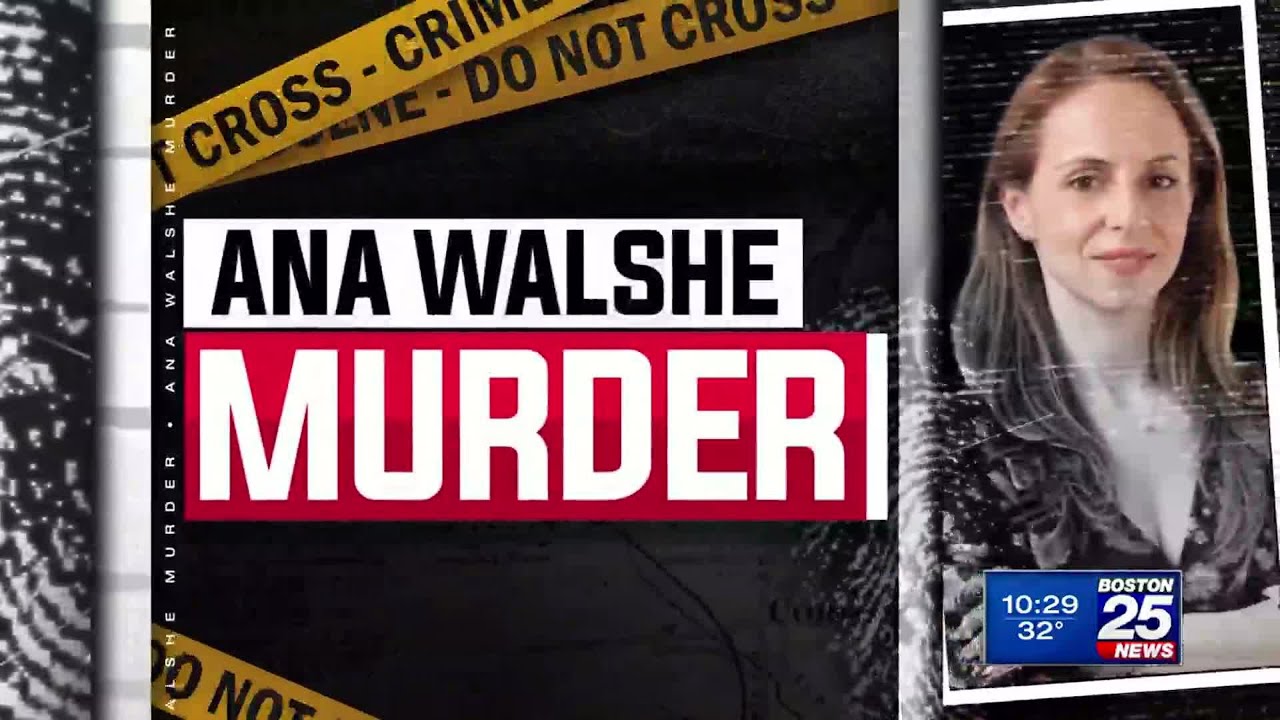 Ana Walshe murder: An in-depth look into where the case stands and what ...