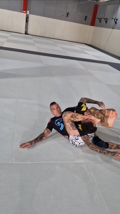 Turtle Triangle - YouTube