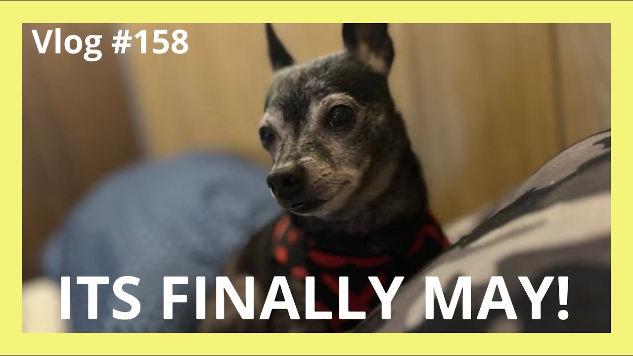 It’s Finally May! - YouTube