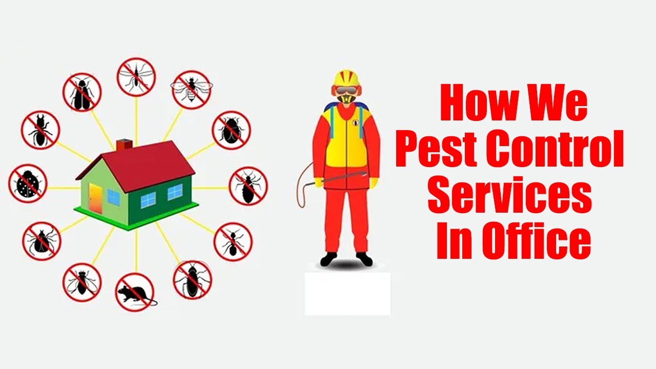 R B Pest Control BD - Best pest control service in Bangladesh - YouTube