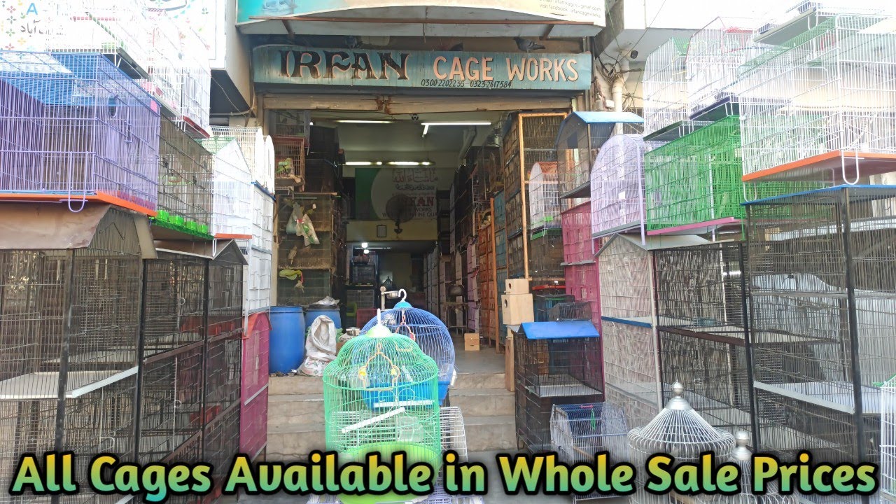 All Cages Available in Whole Sale prices in 2020 || five star cages ...