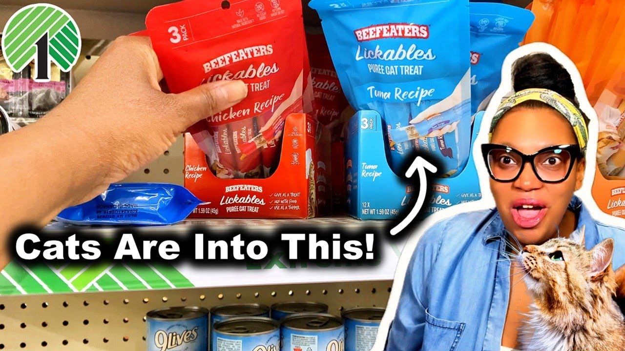 Apparently Cats are Really into this Dollar Tree Find! Plus all the ...