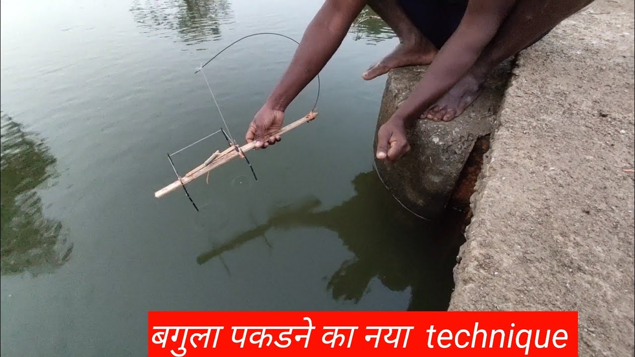 How To Make Bird Trap | Bagula Pakadne Ka Jugad | Birds Catching Trap ...