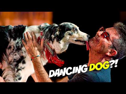 They Brought 20 Dancers AND 6 Dogs On Stage… It Ended With A GOLDEN BUZZER