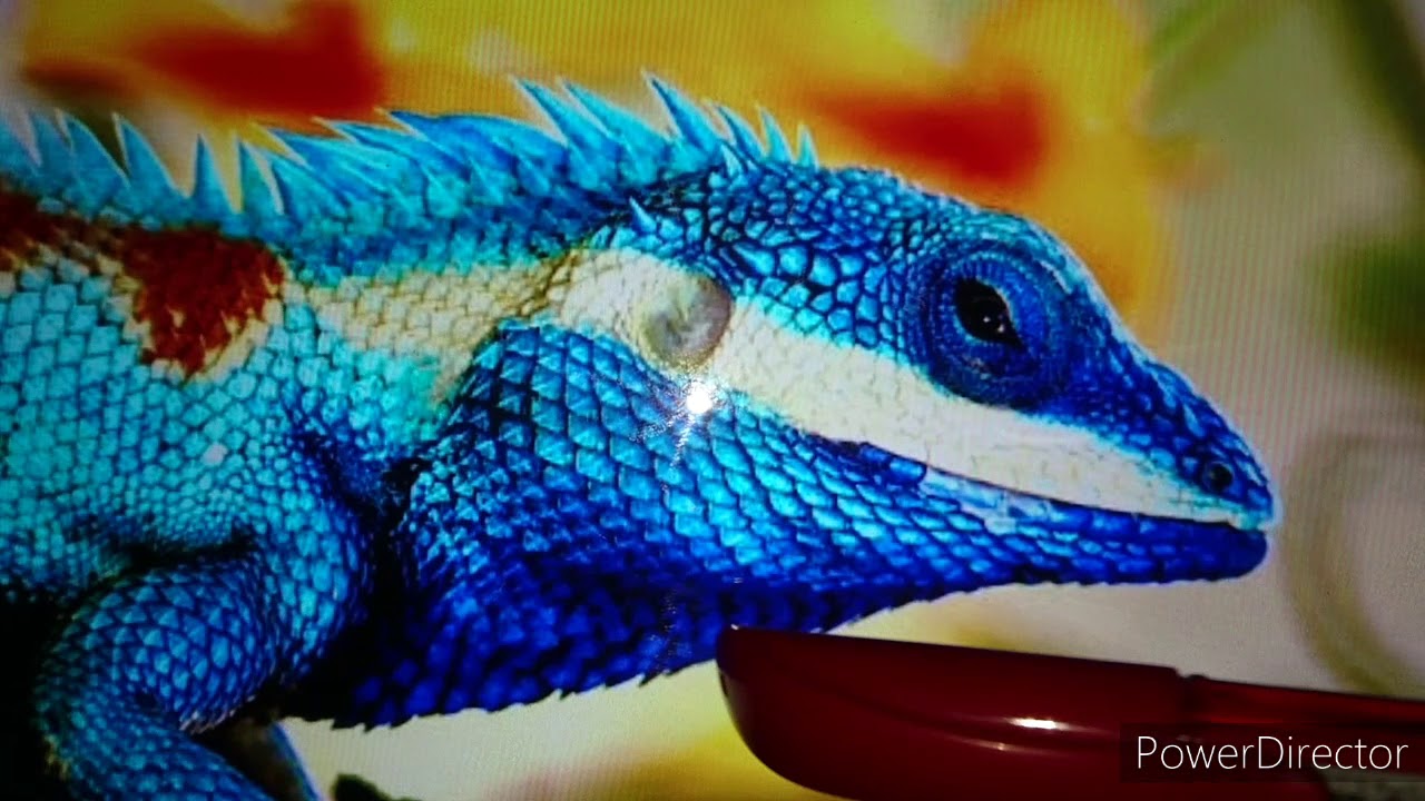 projet 1 séquence 1 (5AP) des production écrite page: 21_22 sur le ...