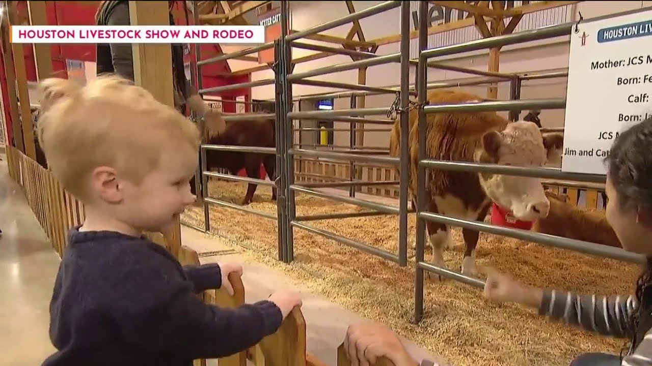 Your guide to RodeoHouston with kids | HOUSTON LIFE | KPRC 2 - YouTube