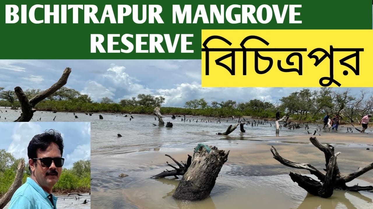 Bichitrapur Mangrove Reserve/বিচিত্রপুর - YouTube